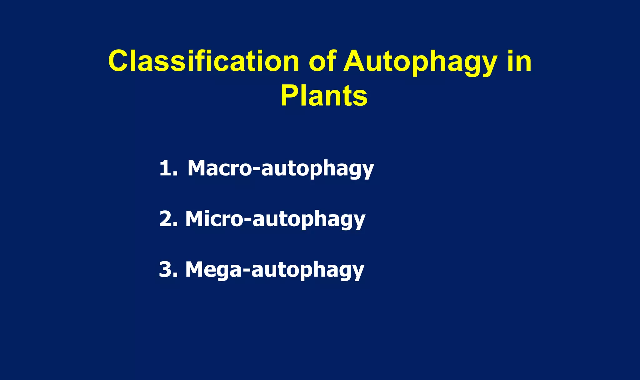 Molecular mechanisms of Autophagy and its Role in Plant Immunity ...