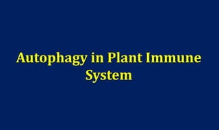 Molecular mechanisms of Autophagy and its Role in Plant Immunity ...