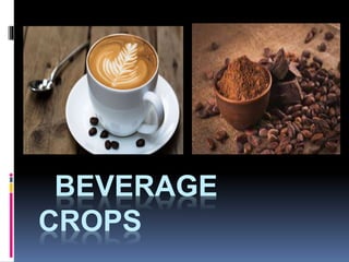 Major crops and agriculture g8 cbse | PPTX