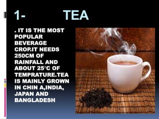 Major crops and agriculture g8 cbse | PPT