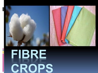 Major crops and agriculture g8 cbse | PPTX