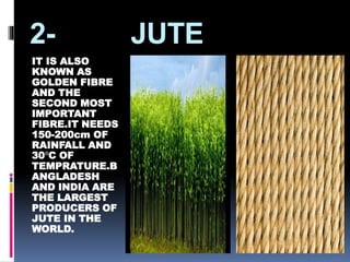 Major crops and agriculture g8 cbse | PPT