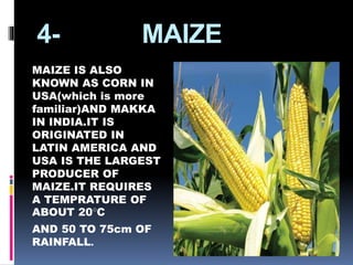 Major crops and agriculture g8 cbse | PPTX