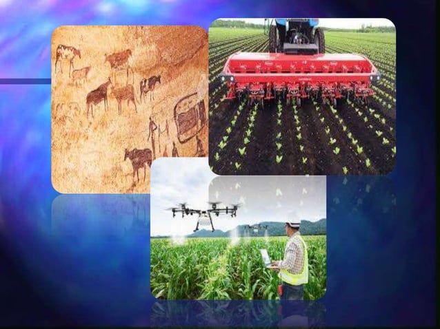 Major Crops grown in India and USA and Development of Agriculture | PPT