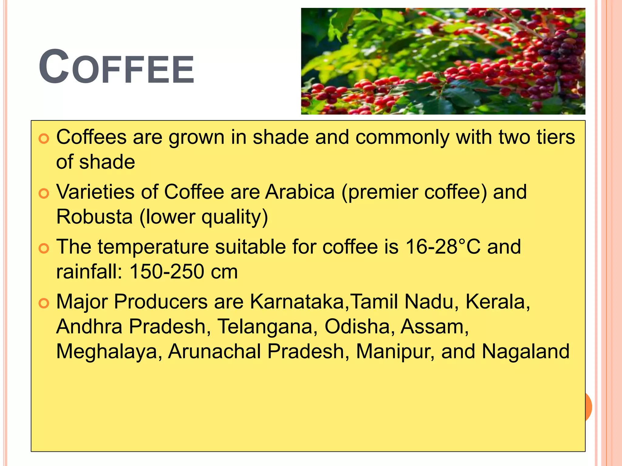 Major crops in India -Food processing.pptx
