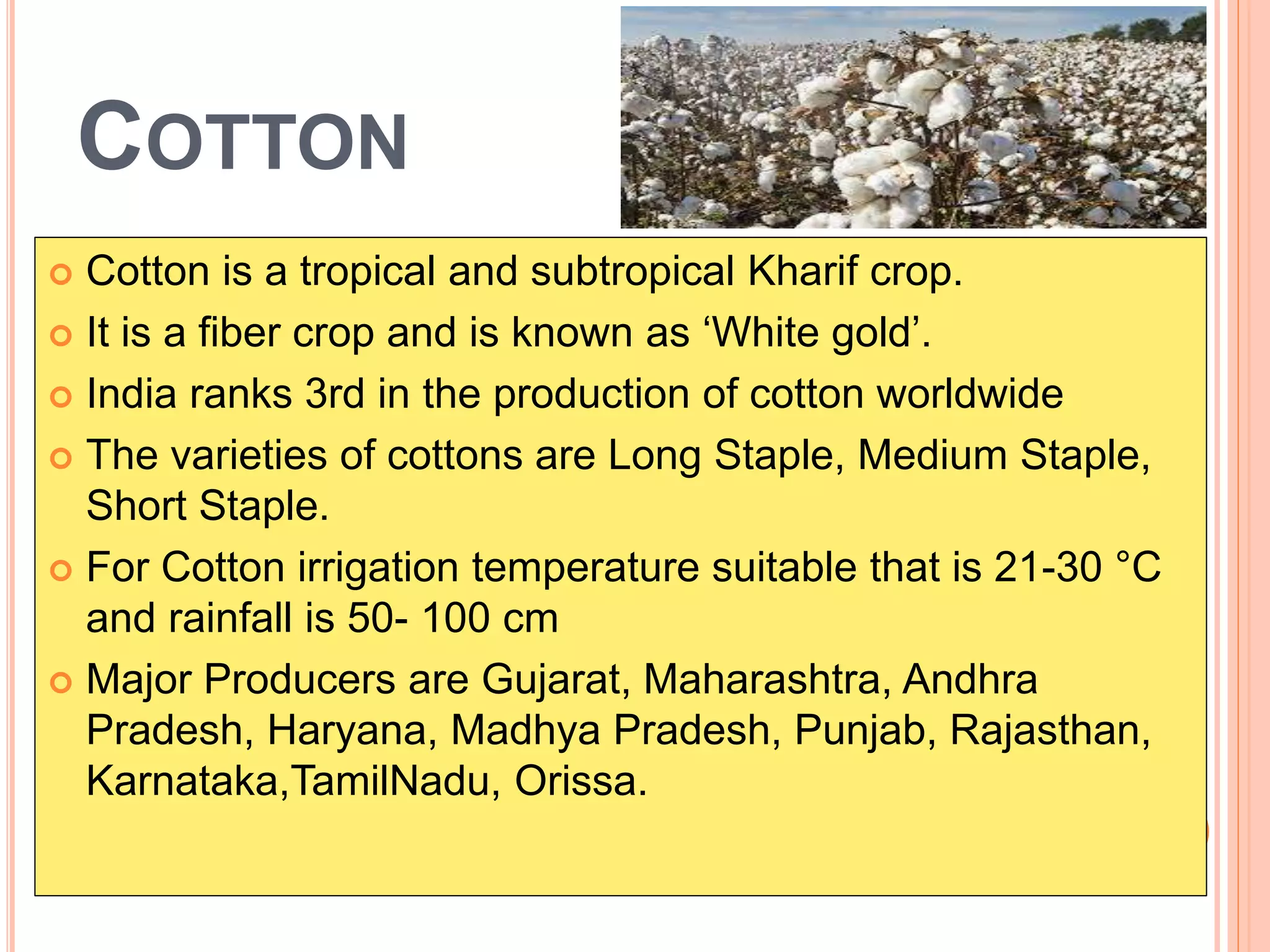 Major crops in India -Food processing.pptx
