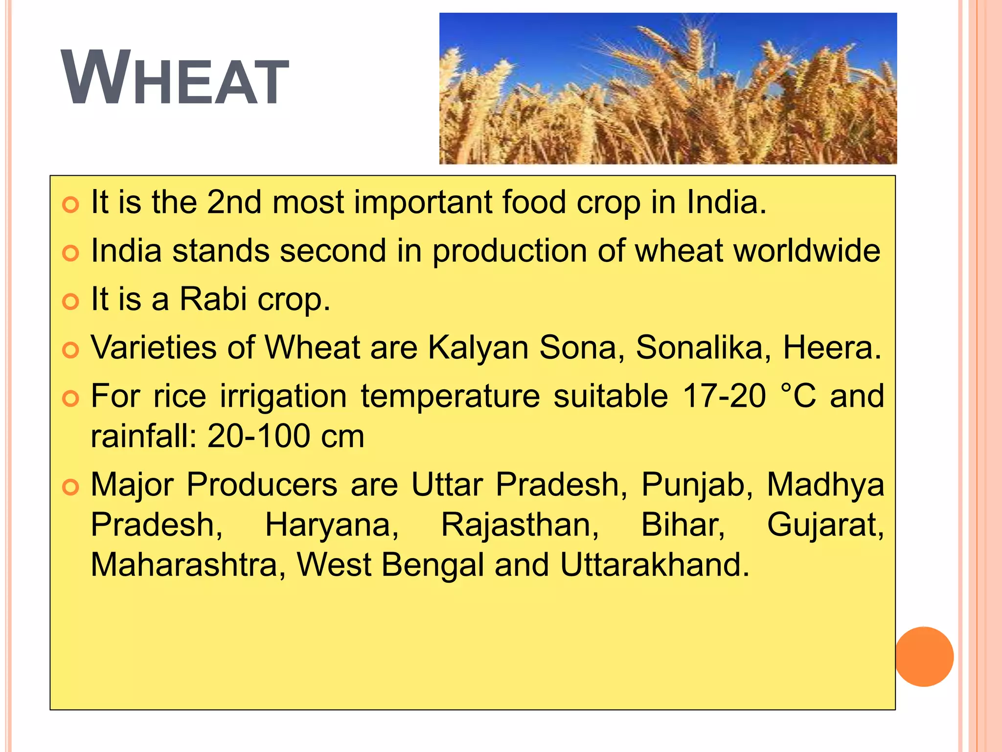 Major crops in India -Food processing.pptx