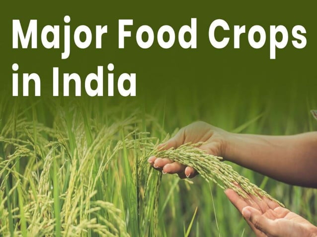 Major crops in India -Food processing.pptx