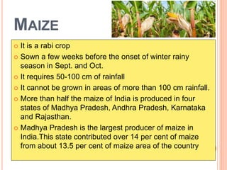 Major crops in India -Food processing.pptx