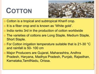 Major crops in India -Food processing.pptx