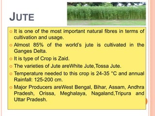 Major crops in India -Food processing.pptx