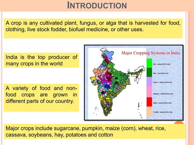 Major crops in India -Food processing.pptx
