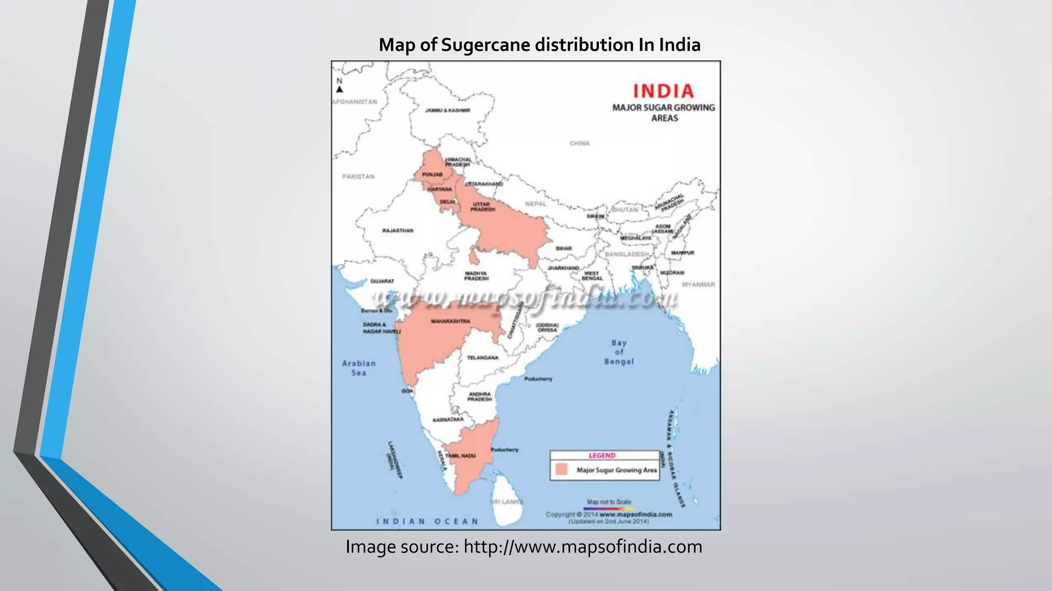 Major crops of india | PPTX