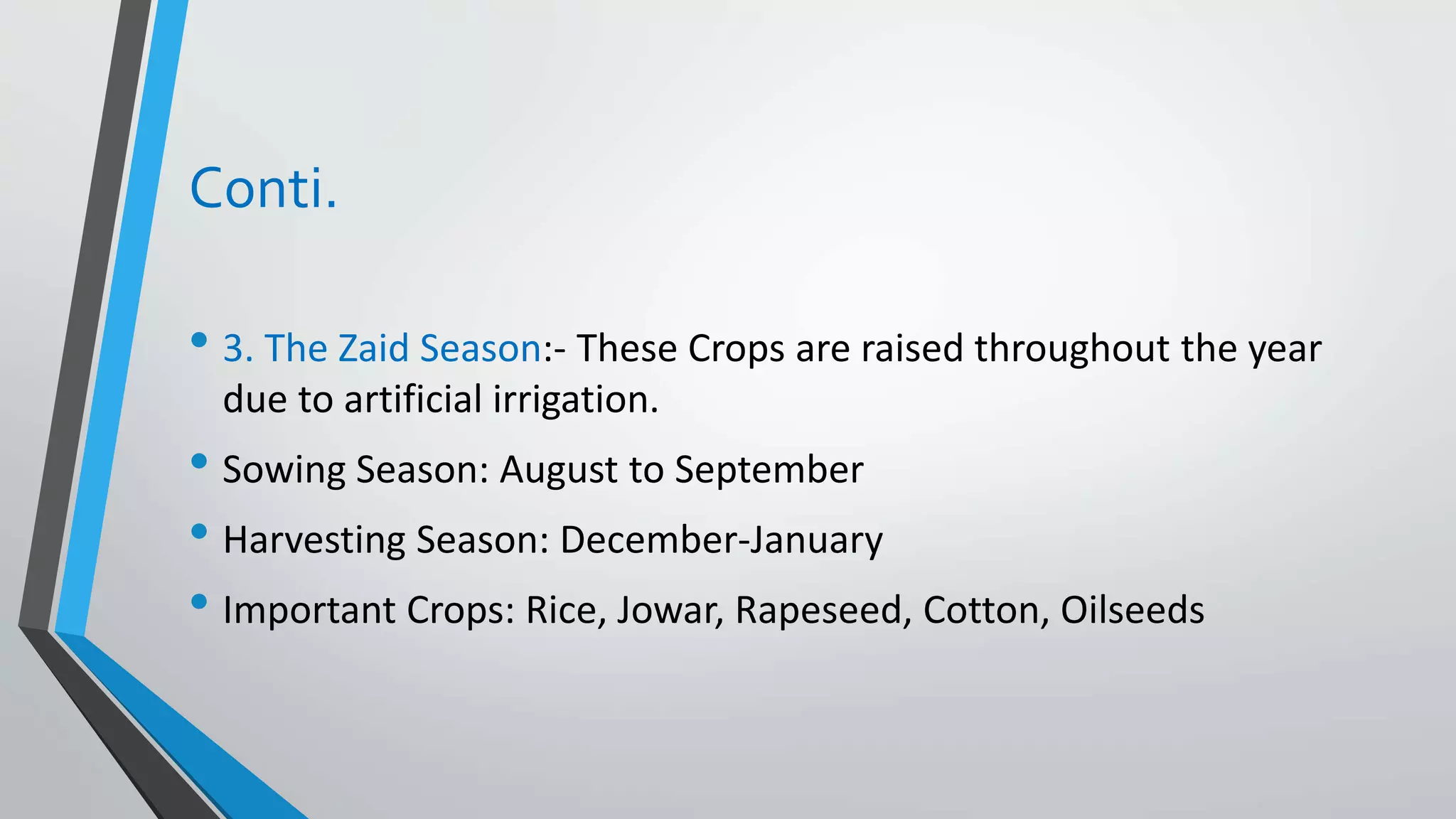 Major crops of india | PPTX