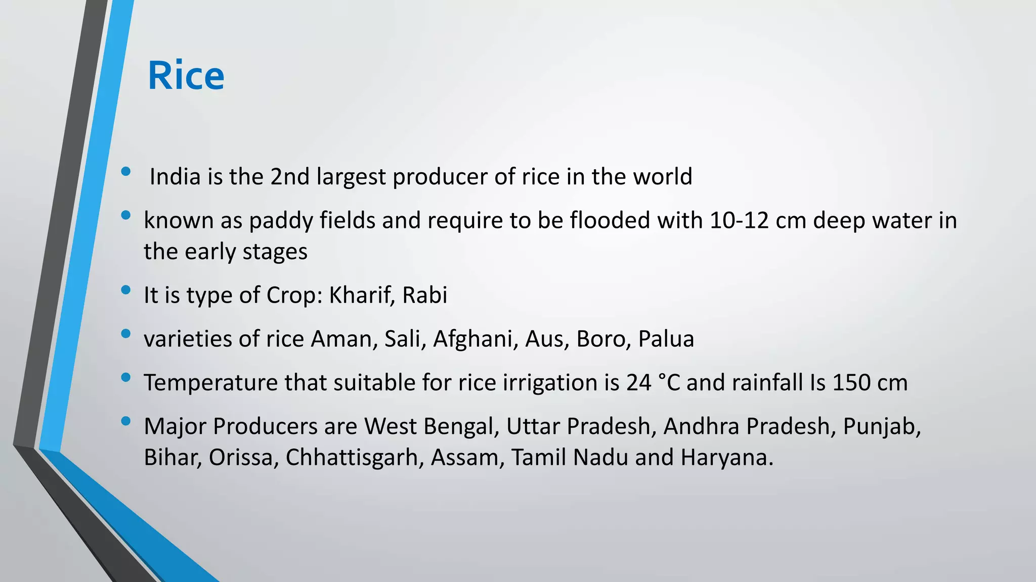 Major crops of india | PPTX