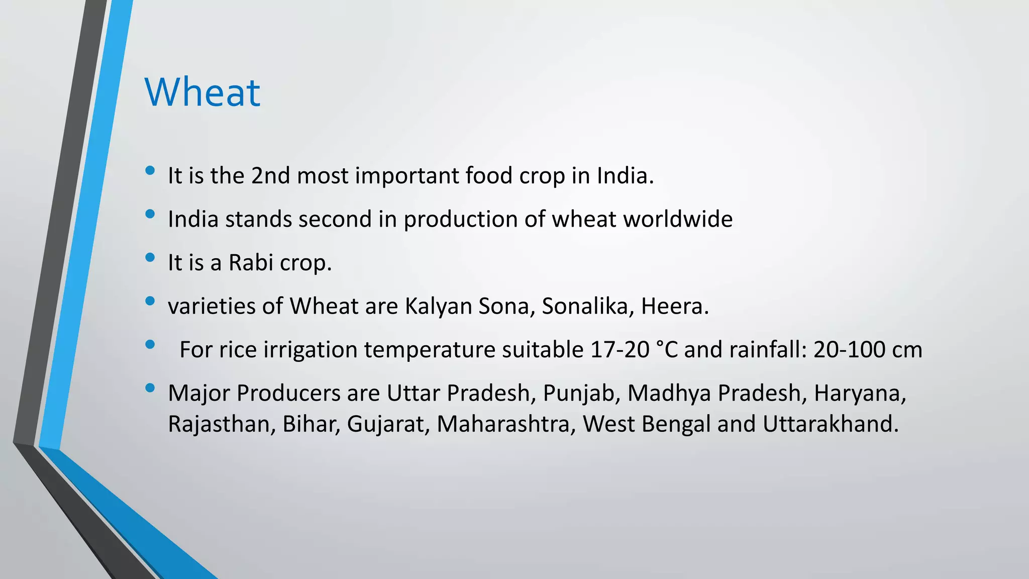 Major crops of india | PPTX