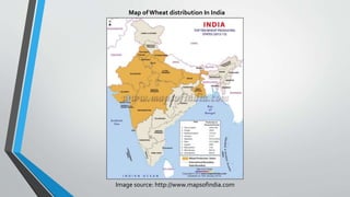 Major crops of india | PPTX