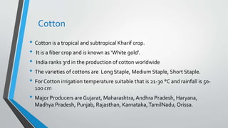 Major crops of india | PPTX