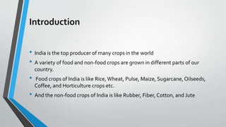 Major crops of india | PPTX