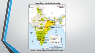 Major crops of india | PPTX