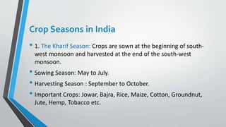 Major crops of india | PPTX