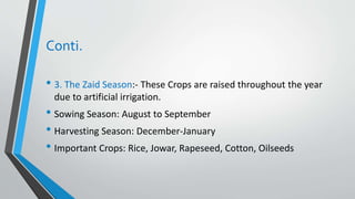 Major crops of india | PPTX