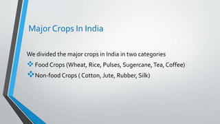 Major crops of india | PPTX