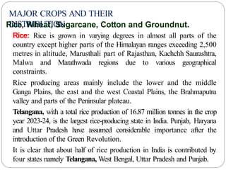 Major Crops and their production of India.pptx