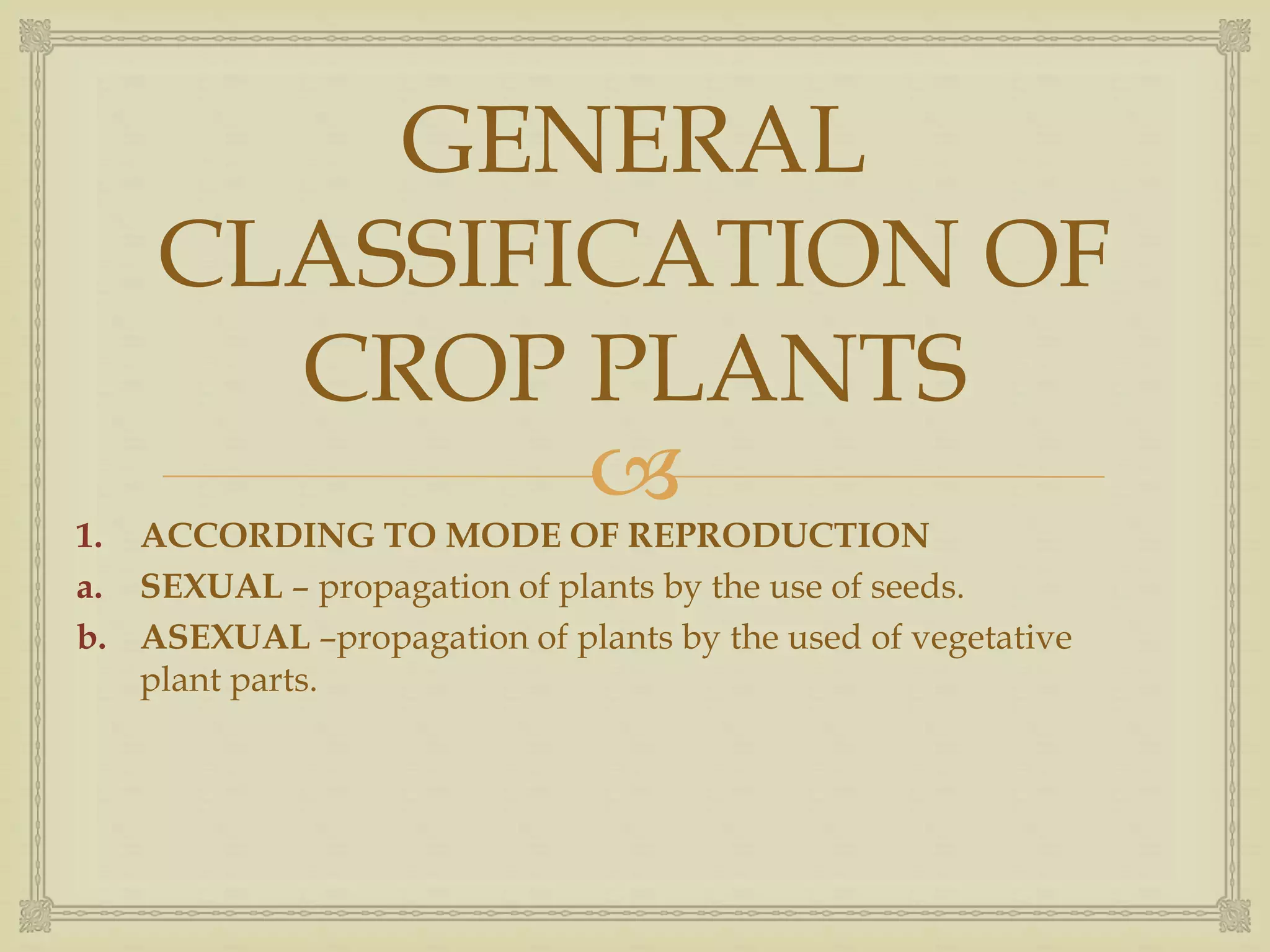 MAJOR CROPS OF THE PHILIPPINES AND THEIR GEOGRAPHIC.pptx