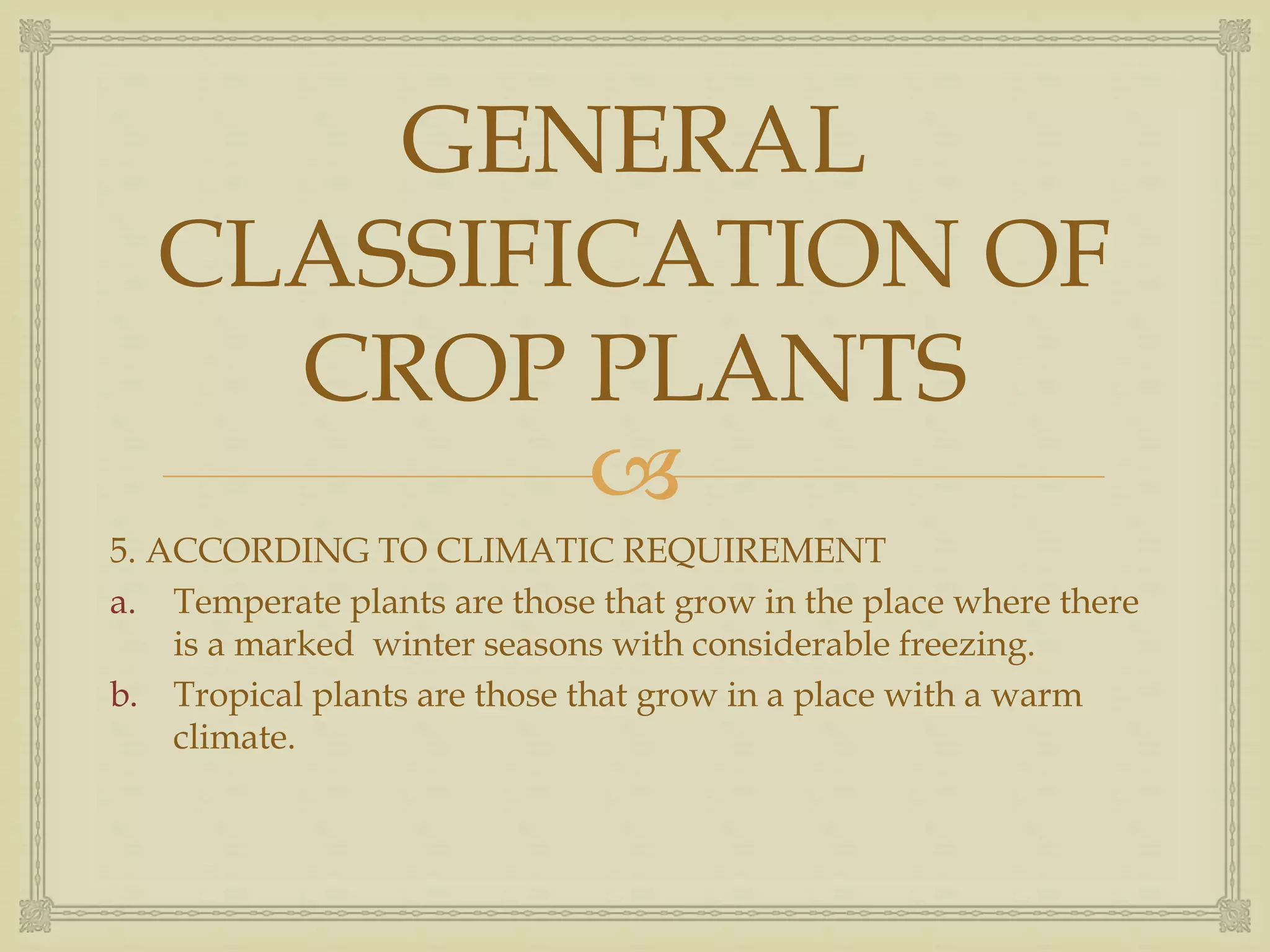MAJOR CROPS OF THE PHILIPPINES AND THEIR GEOGRAPHIC.pptx