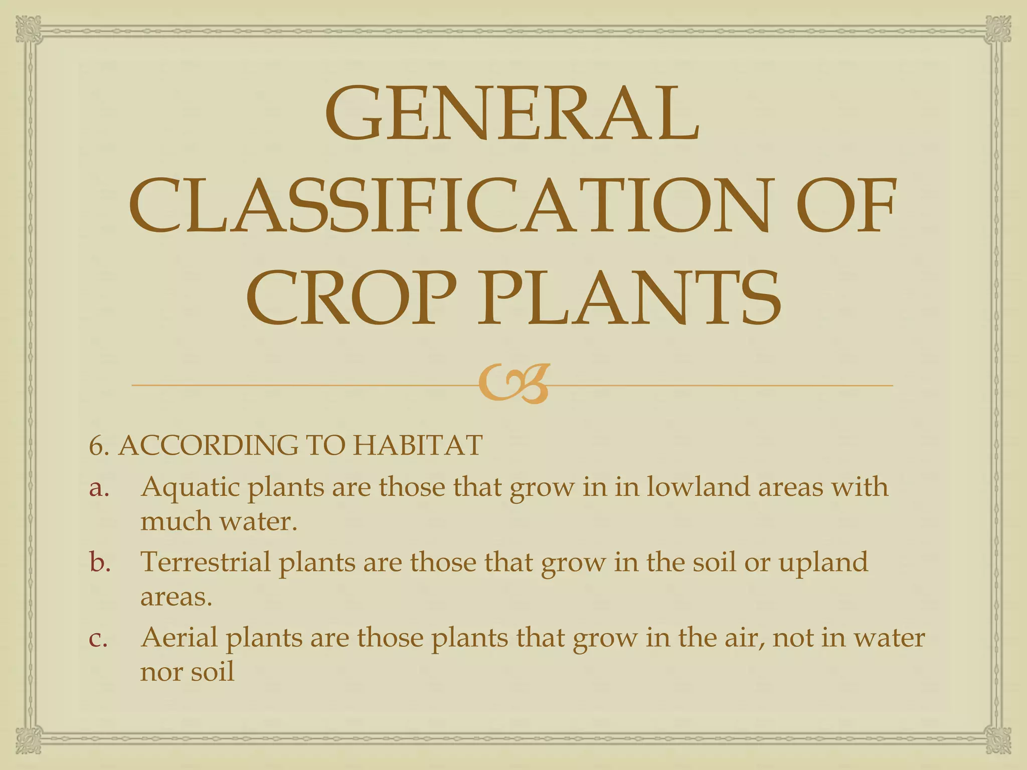 MAJOR CROPS OF THE PHILIPPINES AND THEIR GEOGRAPHIC.pptx
