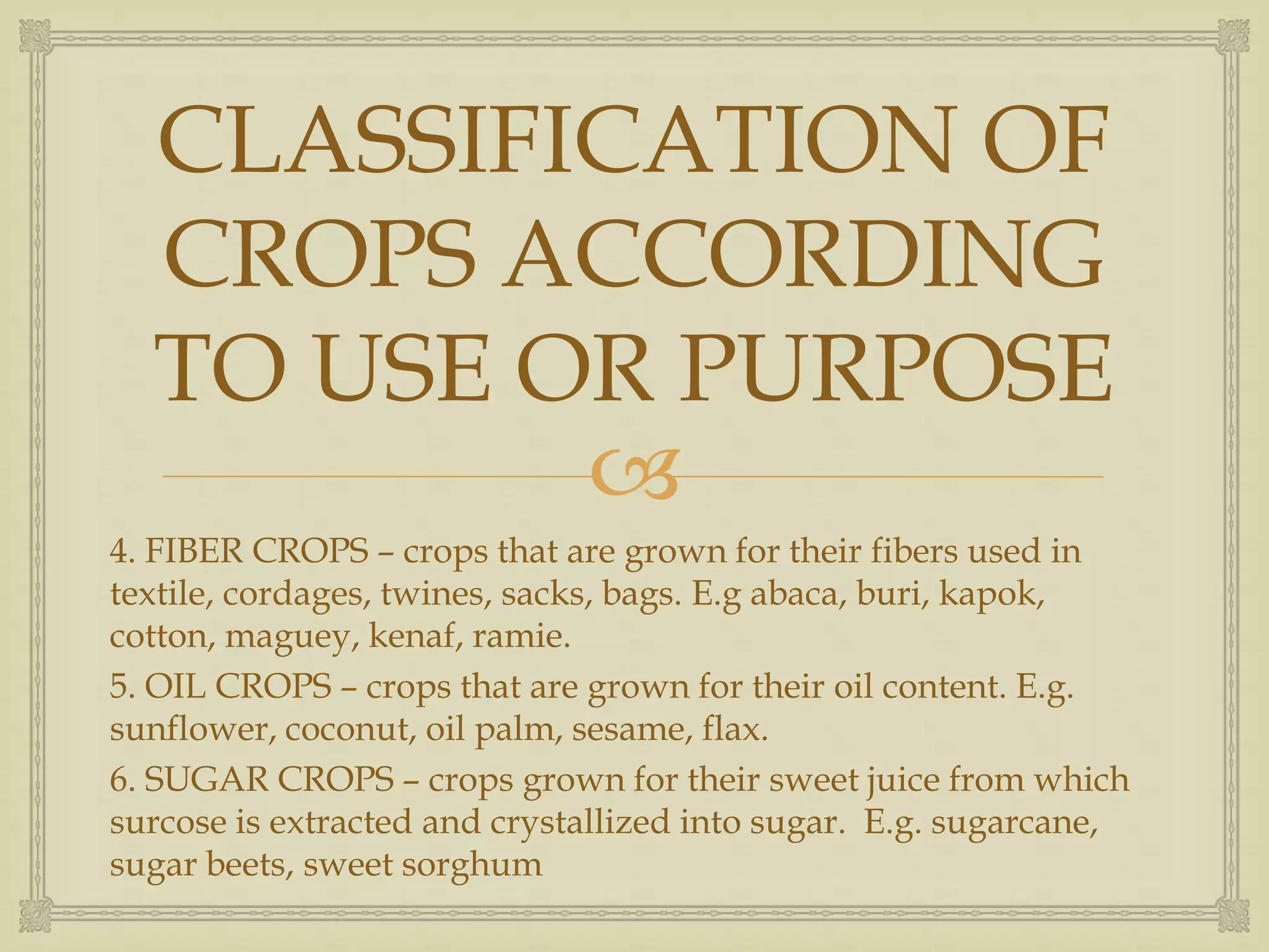 MAJOR CROPS OF THE PHILIPPINES AND THEIR GEOGRAPHIC.pptx