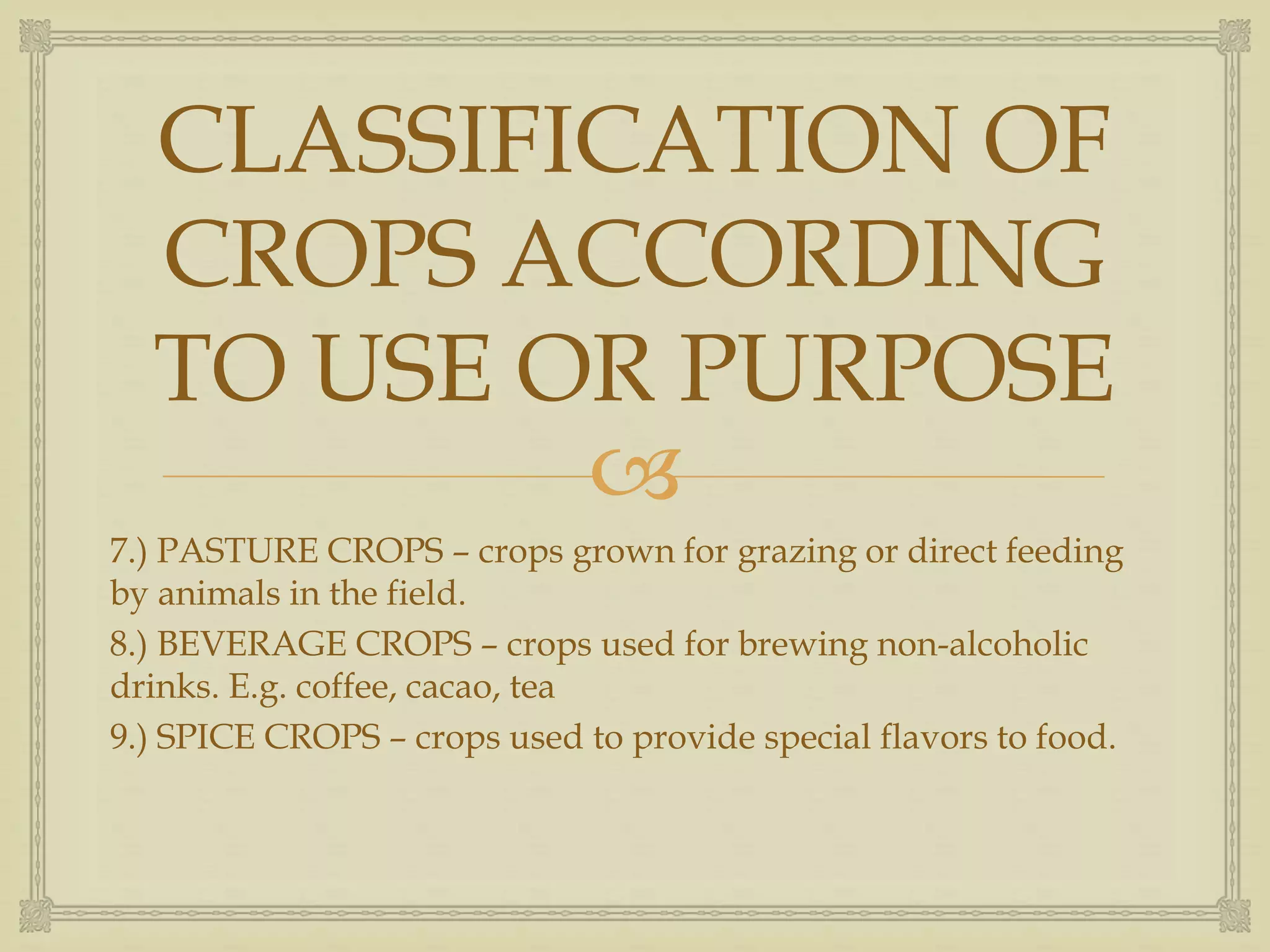 MAJOR CROPS OF THE PHILIPPINES AND THEIR GEOGRAPHIC.pptx