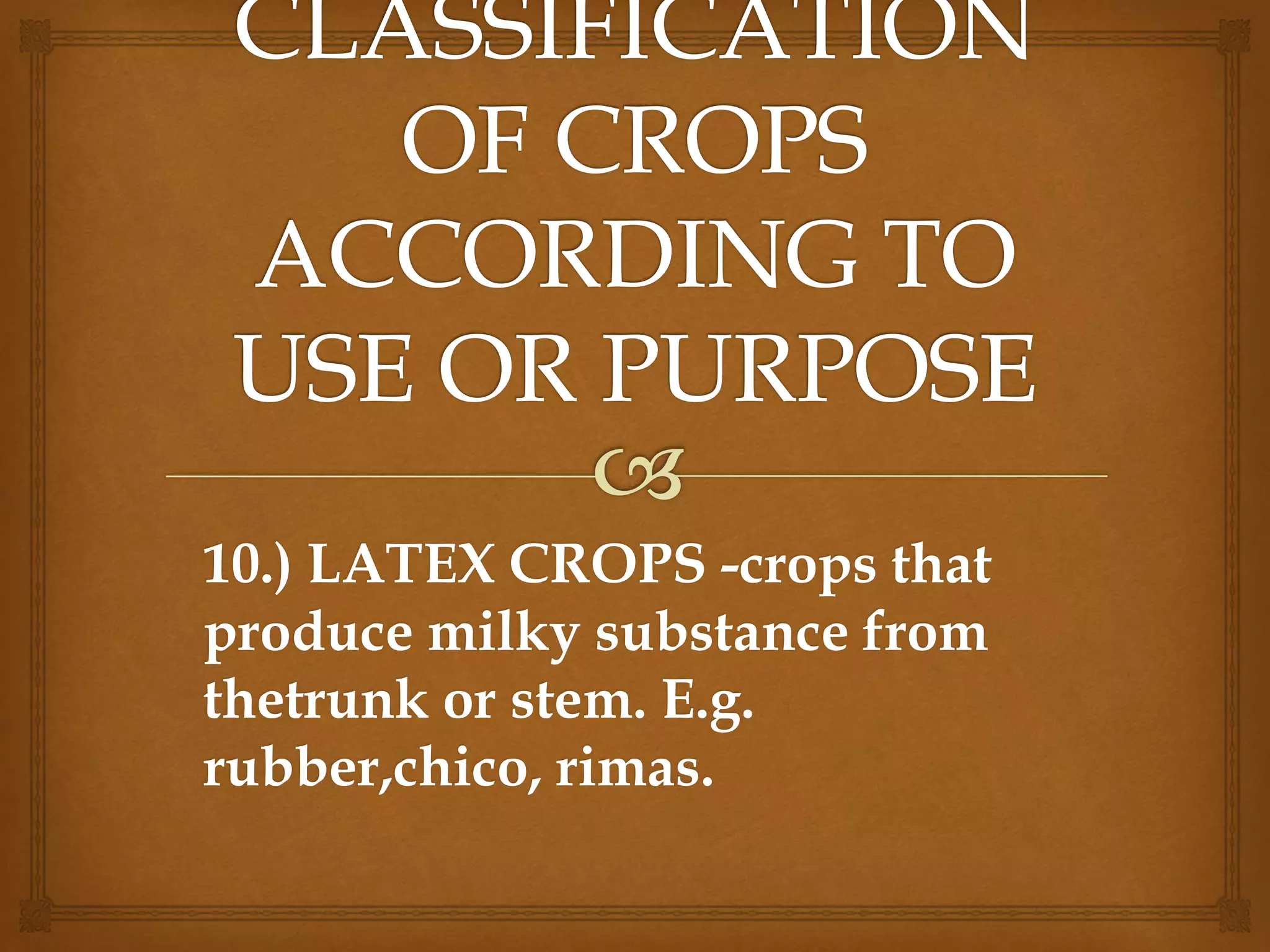 MAJOR CROPS OF THE PHILIPPINES AND THEIR GEOGRAPHIC.pptx