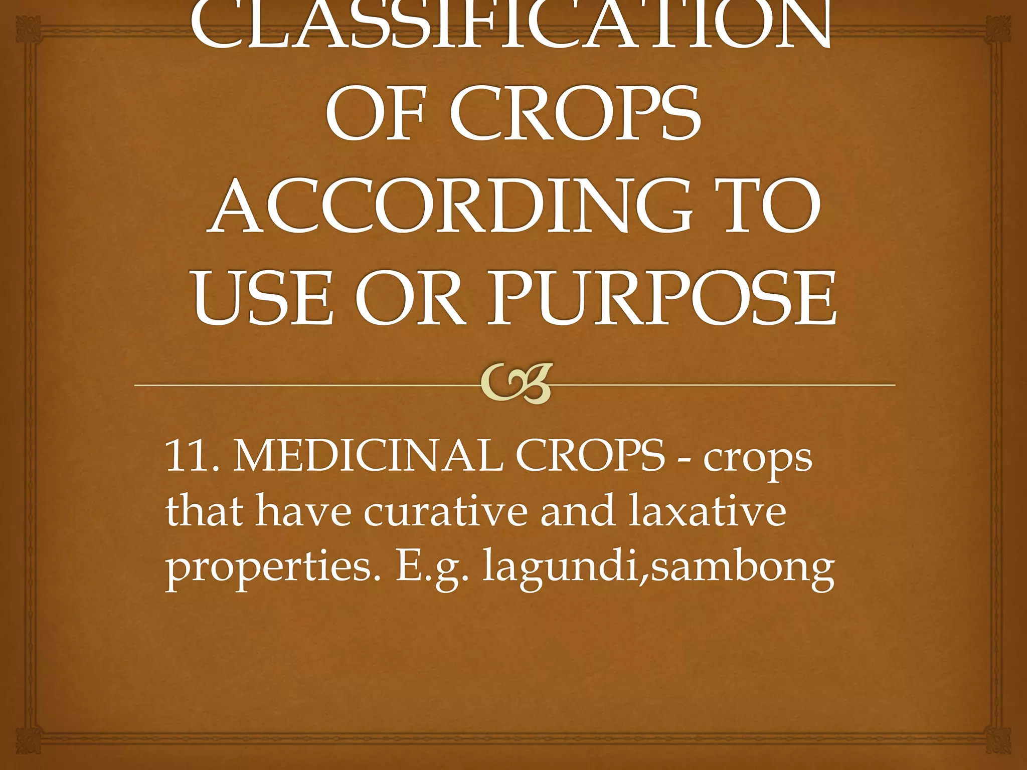 MAJOR CROPS OF THE PHILIPPINES AND THEIR GEOGRAPHIC.pptx