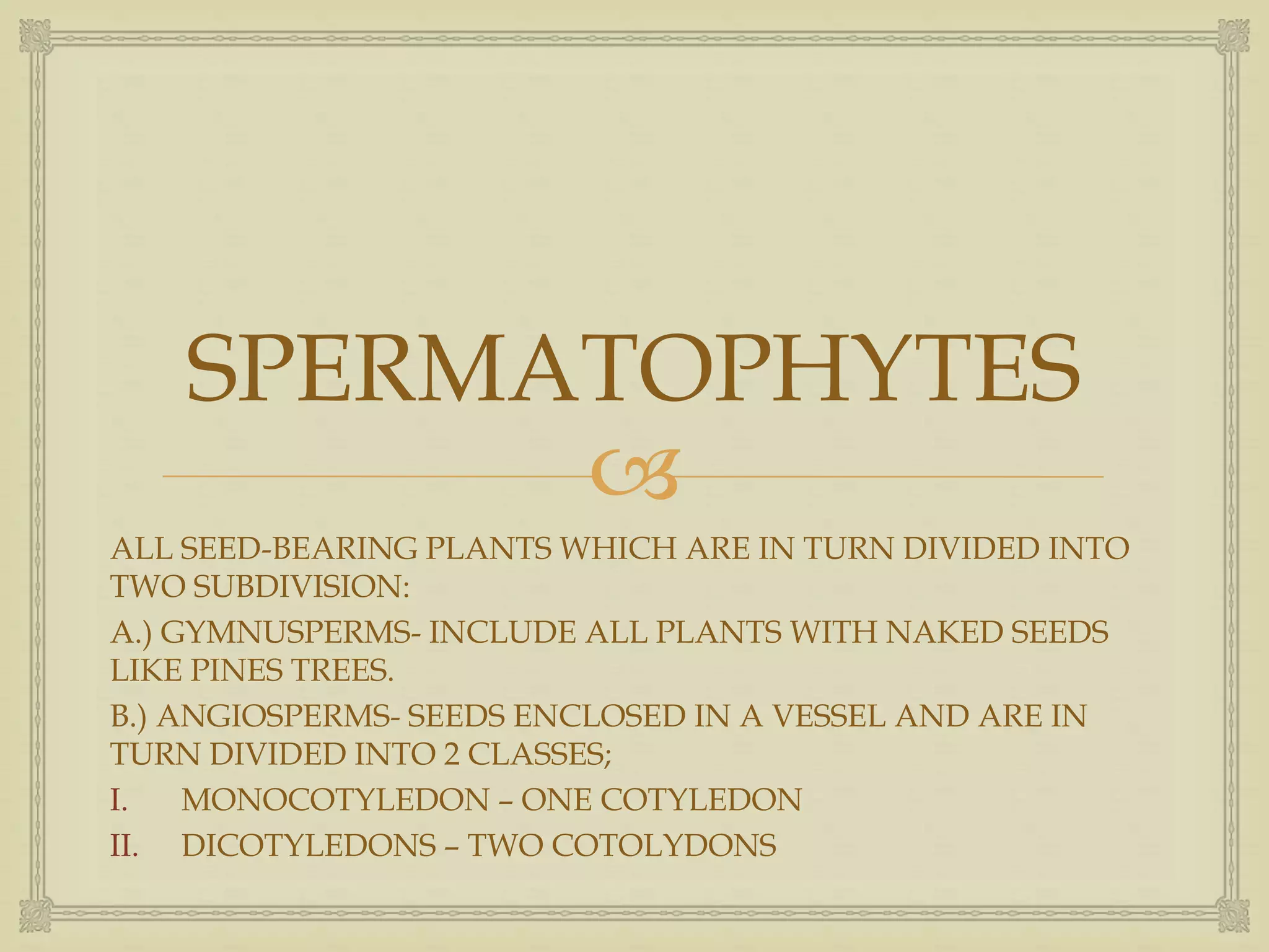 MAJOR CROPS OF THE PHILIPPINES AND THEIR GEOGRAPHIC.pptx