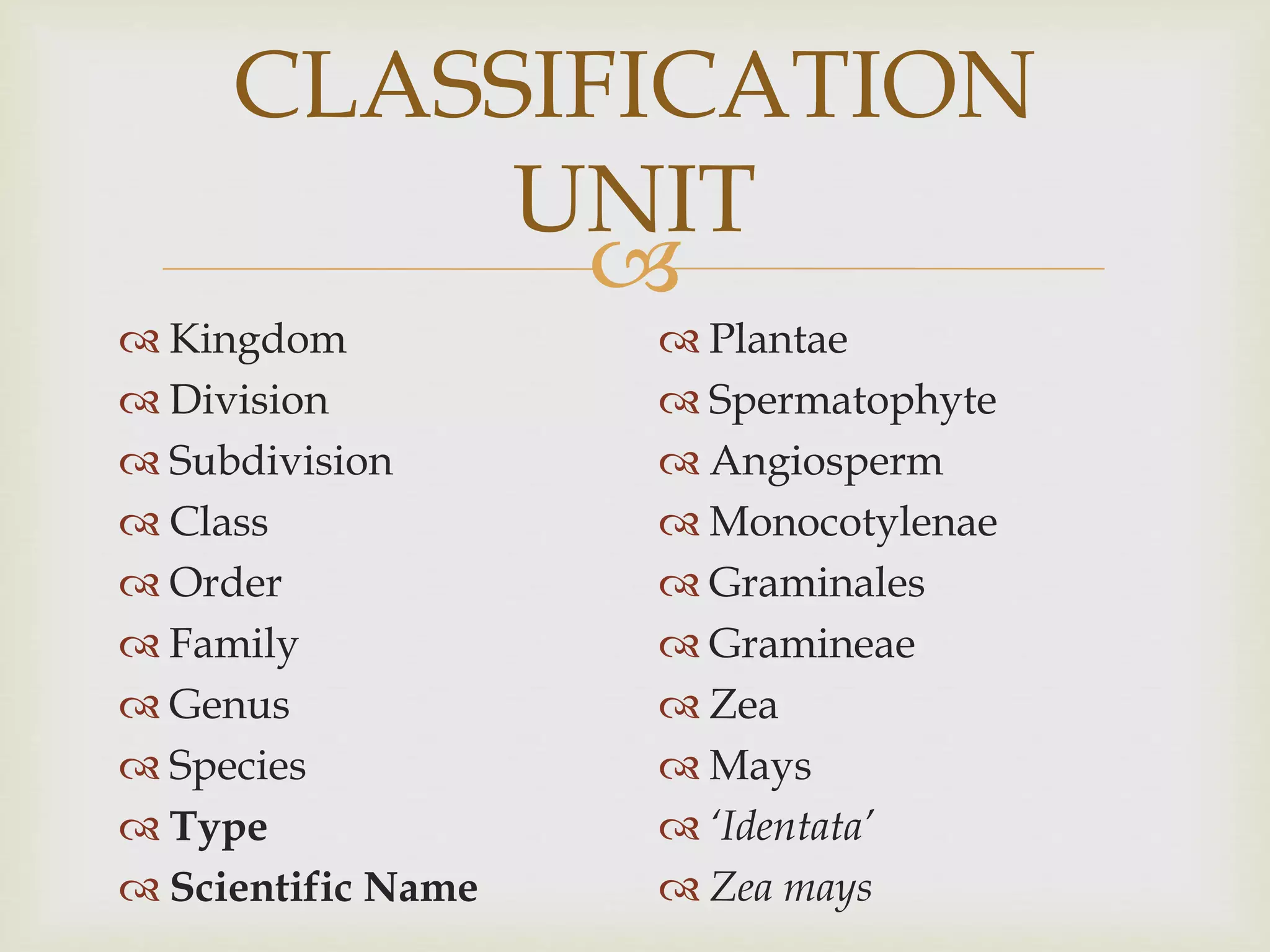 MAJOR CROPS OF THE PHILIPPINES AND THEIR GEOGRAPHIC.pptx