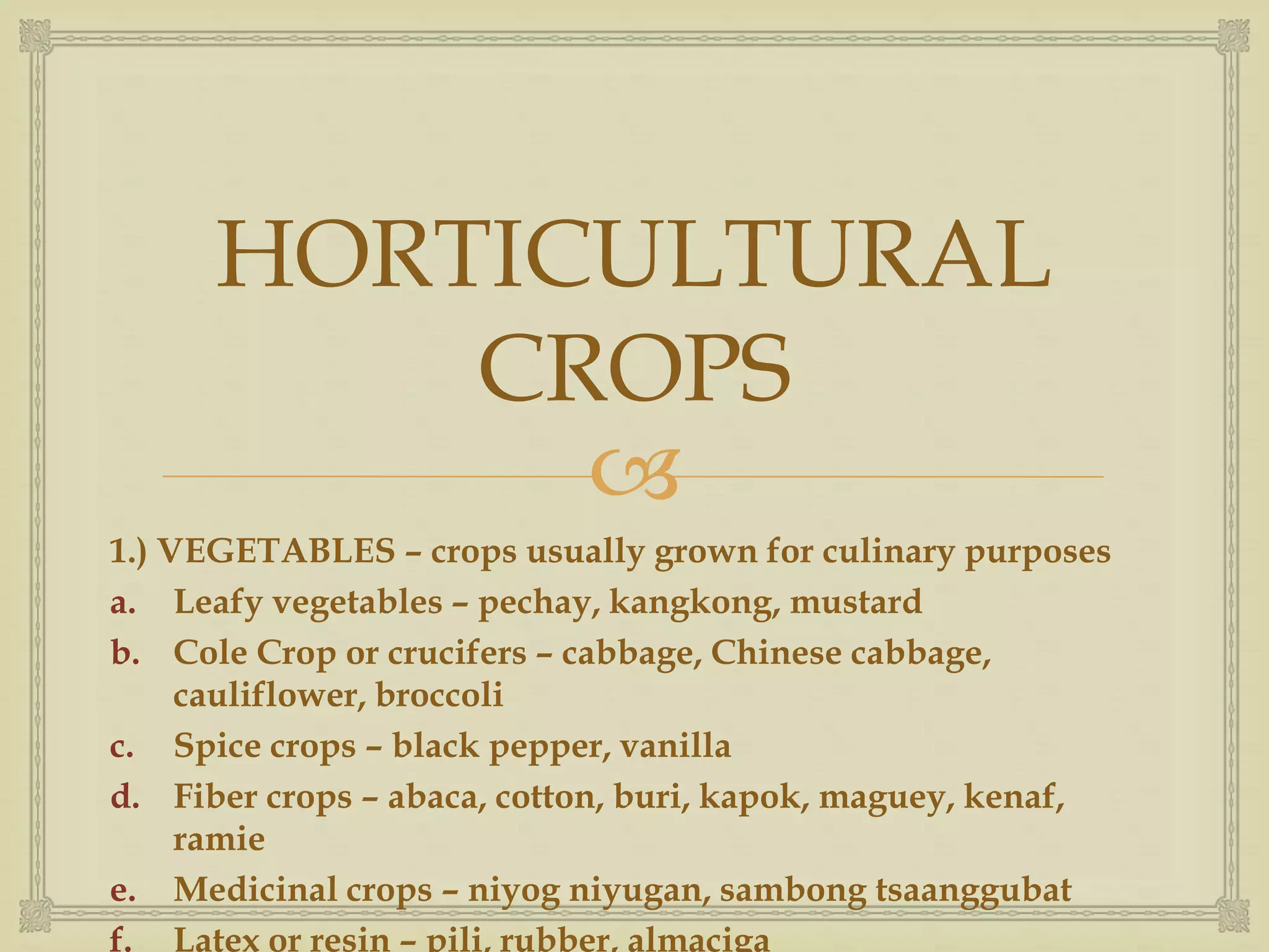 MAJOR CROPS OF THE PHILIPPINES AND THEIR GEOGRAPHIC.pptx