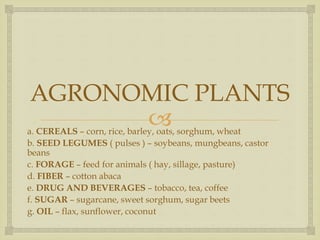 MAJOR CROPS OF THE PHILIPPINES AND THEIR GEOGRAPHIC.pptx