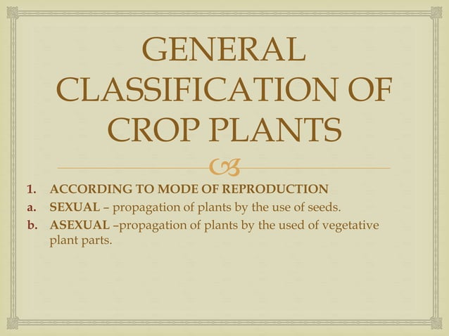 MAJOR CROPS OF THE PHILIPPINES AND THEIR GEOGRAPHIC.pptx | Gardening ...