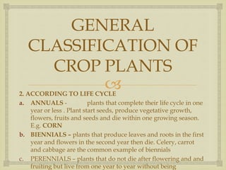 MAJOR CROPS OF THE PHILIPPINES AND THEIR GEOGRAPHIC.pptx
