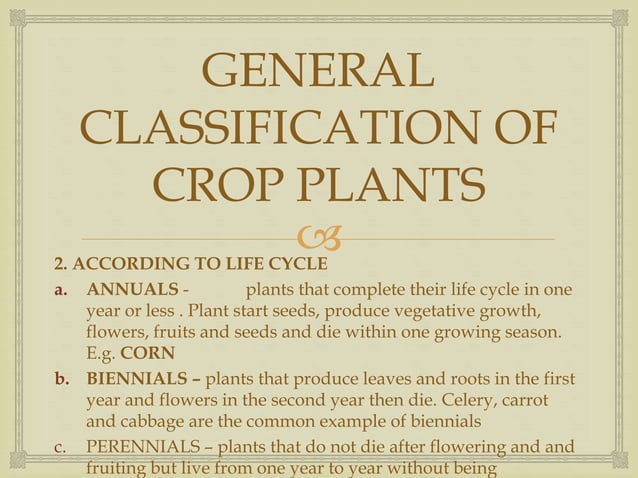 MAJOR CROPS OF THE PHILIPPINES AND THEIR GEOGRAPHIC.pptx | Gardening ...