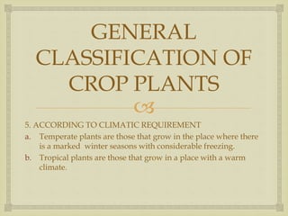 MAJOR CROPS OF THE PHILIPPINES AND THEIR GEOGRAPHIC.pptx