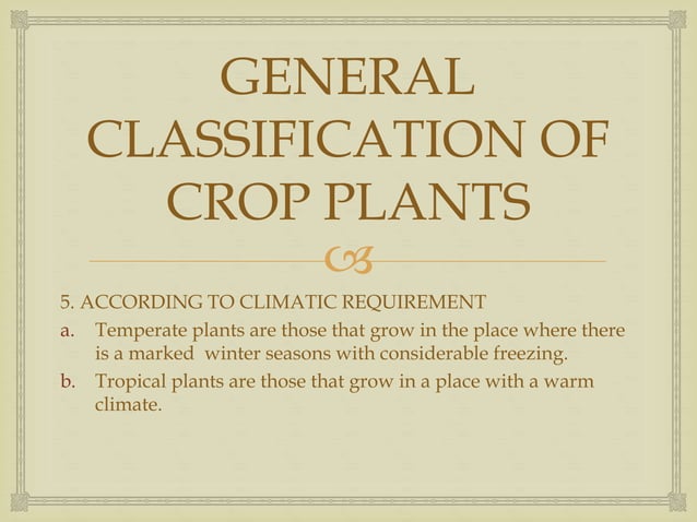 MAJOR CROPS OF THE PHILIPPINES AND THEIR GEOGRAPHIC.pptx | Gardening ...