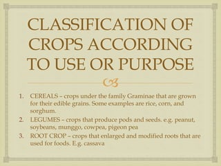 MAJOR CROPS OF THE PHILIPPINES AND THEIR GEOGRAPHIC.pptx