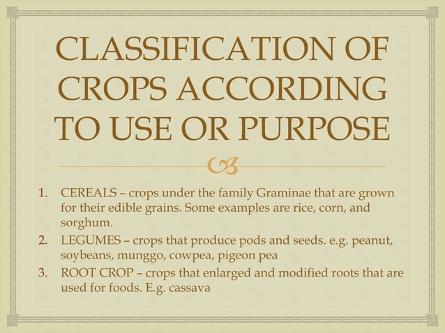 MAJOR CROPS OF THE PHILIPPINES AND THEIR GEOGRAPHIC.pptx | Gardening ...