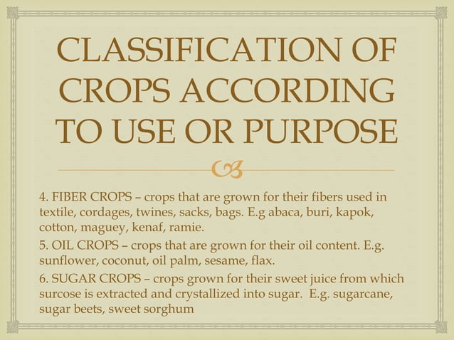 MAJOR CROPS OF THE PHILIPPINES AND THEIR GEOGRAPHIC.pptx | Gardening ...