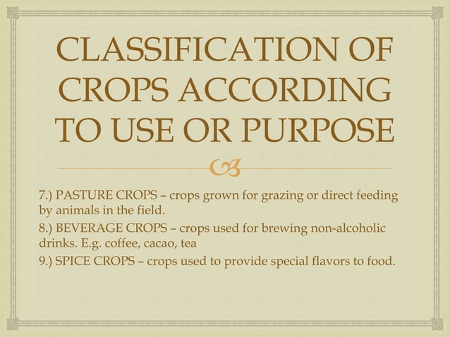 MAJOR CROPS OF THE PHILIPPINES AND THEIR GEOGRAPHIC.pptx | Gardening ...