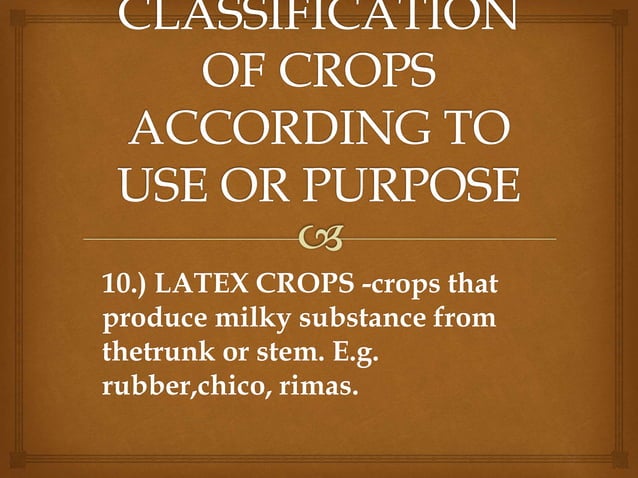 MAJOR CROPS OF THE PHILIPPINES AND THEIR GEOGRAPHIC.pptx | Gardening ...