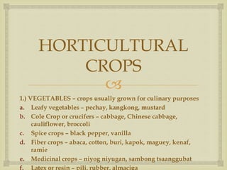 MAJOR CROPS OF THE PHILIPPINES AND THEIR GEOGRAPHIC.pptx